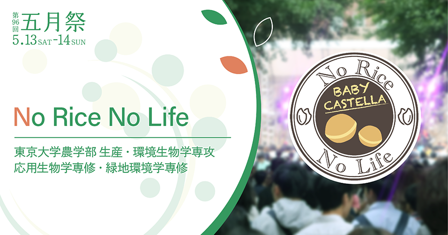 No Rice No Life | 第96回五月祭